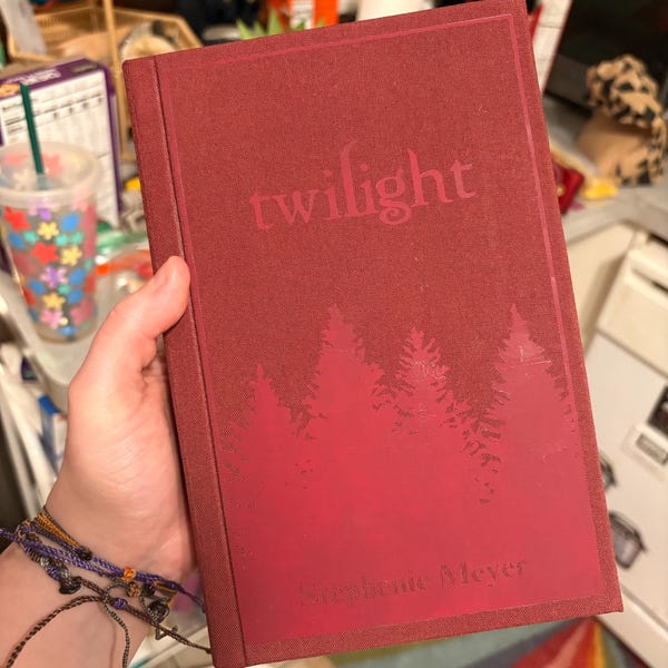 The Shepherd King Duology by Rachel Gillig - Custom Rebound Edition - Etsy