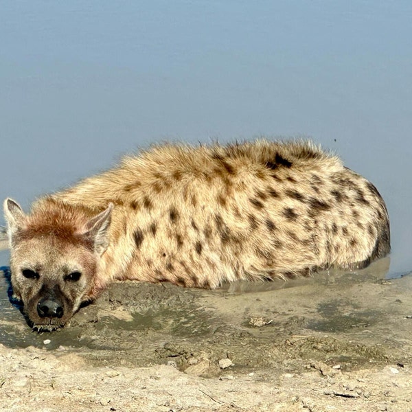 Family Reunion Tote, Family Reunion Favors, Family Vacation Tote ...