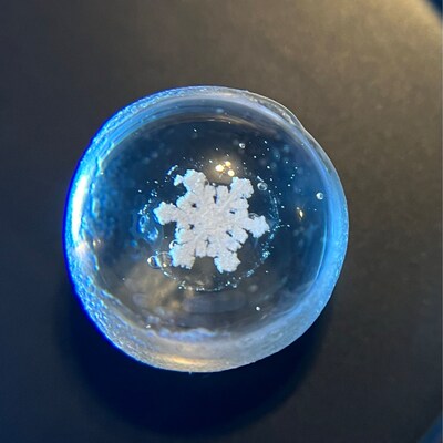 Real Snowflake Preserved Artist Danielle Oliver Captured Real Snowflake ...