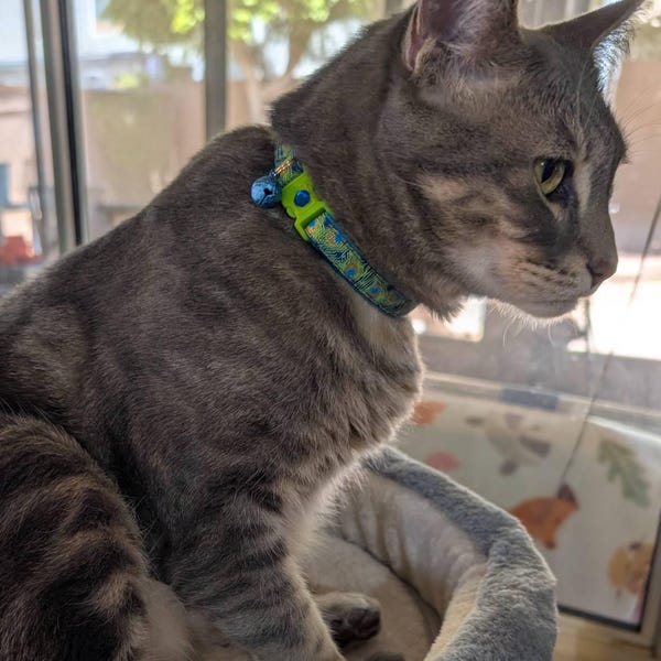 Nautical Pet ID Tag - Lighthouse Dog Name Tag - Sailor Stamped Cat ID ...