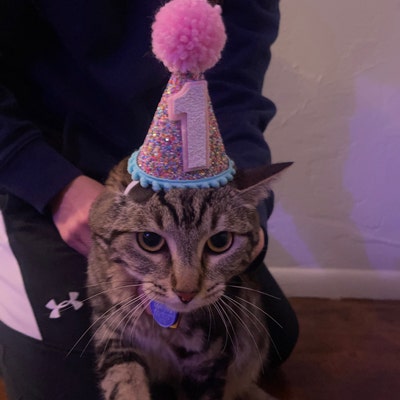 Cat Birthday Hat Pet Party Hat Puppy Birthday First Birthday Puppy First Birthday Birthday Party ...
