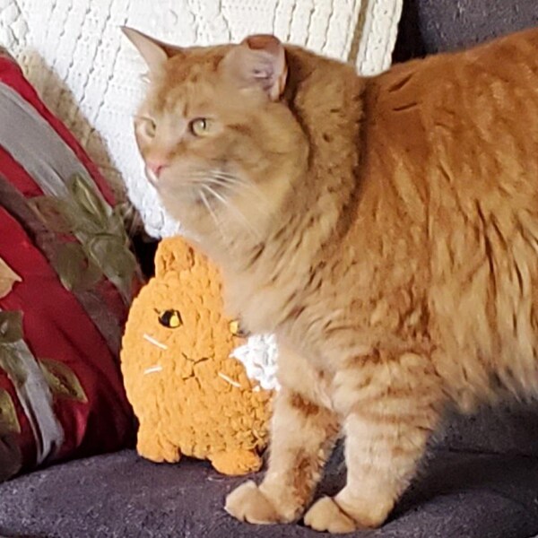 Silkie Chicken, Crochet Hatching Chicken, Baby Chicken in Shell, Easter ...