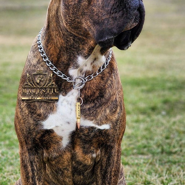 Personalized Bullet Dog Tag Pet ID Tag Custom Engraved Dog Tag ...