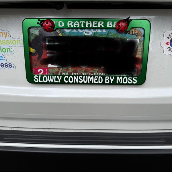 Lady Bug License Plate Screws - Etsy