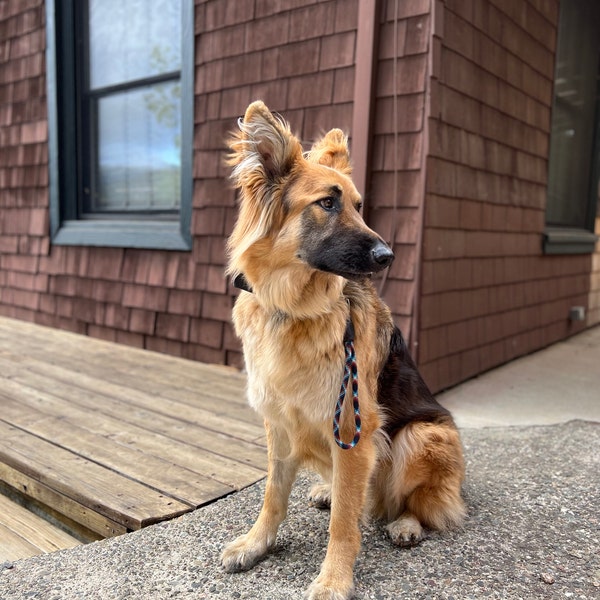 Custom Rope Leash for Dogs, Short Heeling Leash for Training, Heavy ...