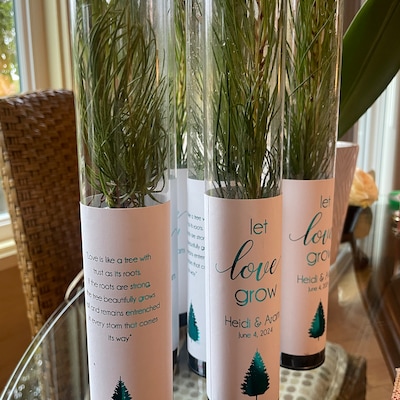 Baby Shower Favors Gift Tree Favors Seedling Shower Favor Sprinkle ...