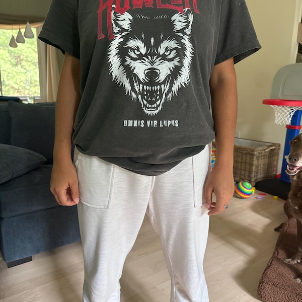 Navarre Travel Poster, Fourth Wing Art Print, Basgiath Art, Fantasy ...