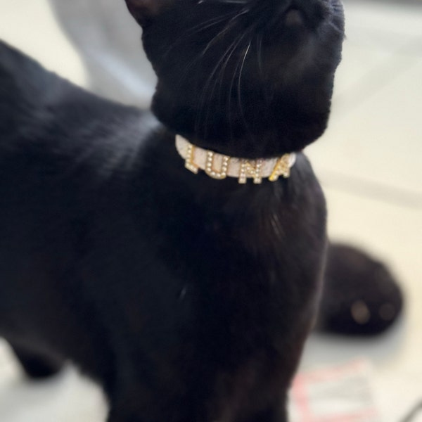 Personalised Fancy Cat Collar in White Custom Name Collar Gold Cat ...