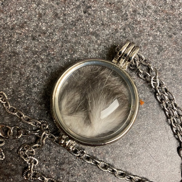 Silver Glass Locket Glass Picture Necklace Jewelry Heirloom Locket ...