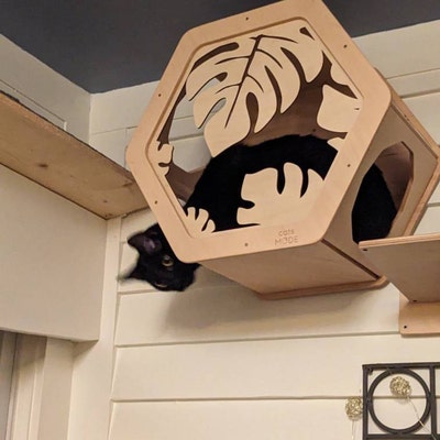 Cat Wall Mount Furniture, Cat Wall Bed, Wooden Cat Hexagon Shelves ...