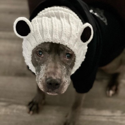 Panda Dog Snood Knit Crochet Dog Hat Easter Dog Costume Ear Warmer - Etsy