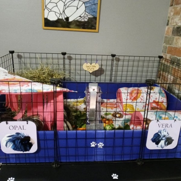 Guinea Pig Name Tag, Guinea Pig Accessories, Pet Tag, Guinea Pig ...