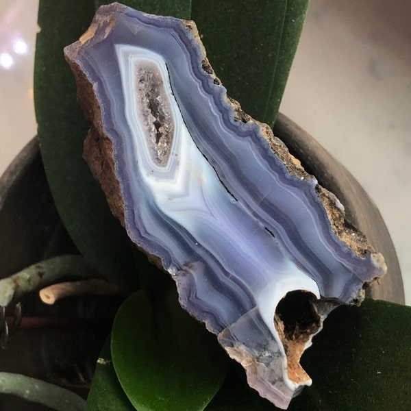 Highest Grade Jelly Holly Blue Agate Face Polished Holly Blue Agate ...