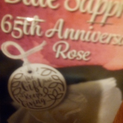 Happy Retirement Rose Bush Gift Wrapped Help A Colleague or Friend ...