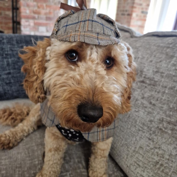 Dog Detective Costume Halloween, Deerstalker Hat and Cape for Large ...