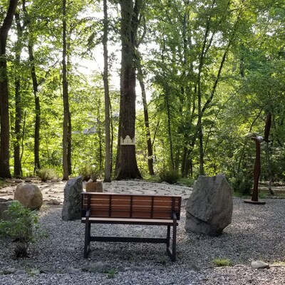 Hand Carved Rattlesnake Walking Cane Made From Eastern Red Cedar, Man ...