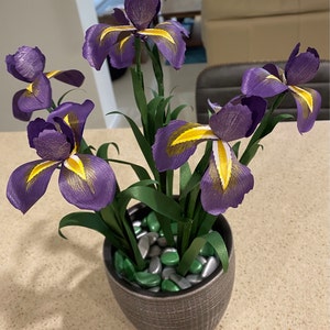 Daphne Paper Flowers Templates Video Tutorial Instant | Etsy