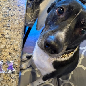 Enamel Pin: Bone Thief Hard Enamel Pin Spooky Pup Skeleton Dog ...