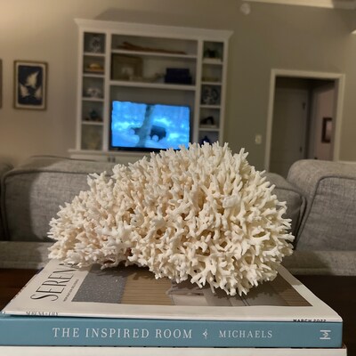 Blue Coral 5-7 - Etsy