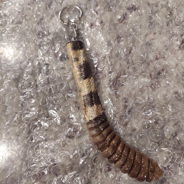 Rattlesnake Tail and Rattle Keychain - Etsy