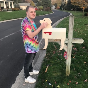 Labrador Retriever Mailbox Lab Unique Dog Mailbox Pp003 - Etsy