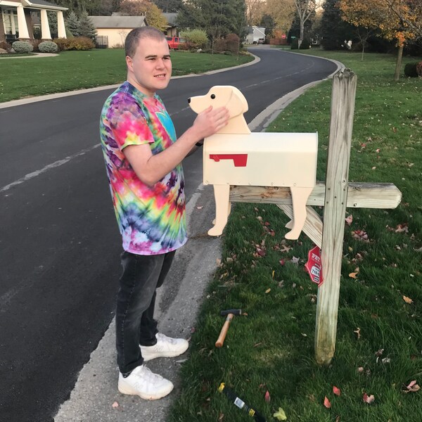 Labrador Retriever Mailbox | Lab | Unique Dog Mailbox | Pp003 - Etsy