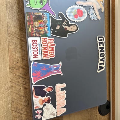 Taylor Swift Lover Era Album Inspired Vinyl Waterproof Stickers - Etsy