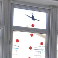 Poppy Window Stickers Poppies Day Remembrance Tribute Scene Kit Cars ...