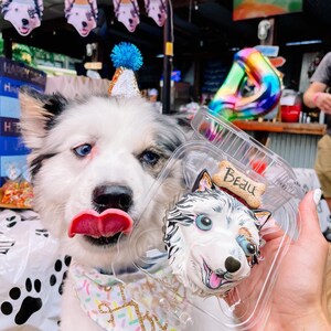 Pet Party Hat Mini Cat Birthday Party Hat Mini Cat Party Hat Dog ...