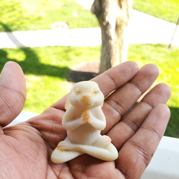 Miniature Zen Garden Meditating Tree Frog on Rock With Om Symbol ...