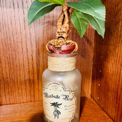 Mandrake Root Herbology Magic Potion Glass Bottle Inspired - Etsy UK
