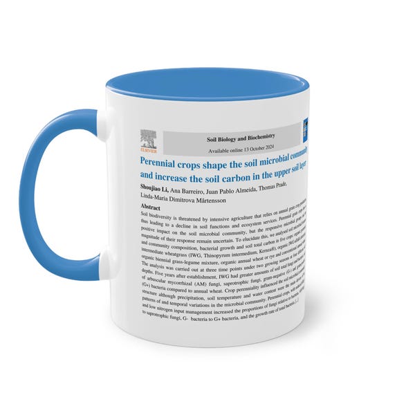 Publication Mug, Custom Quote, Phd Student Gift, Phd Graduation Gift ...