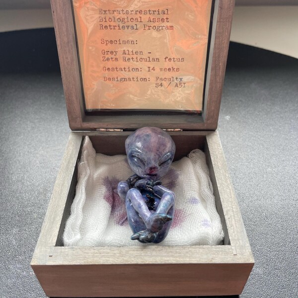 BIGFOOT SASQUATCH DISPLAY, Unique Cryptid Gift, Hairy Friend, Footprint ...