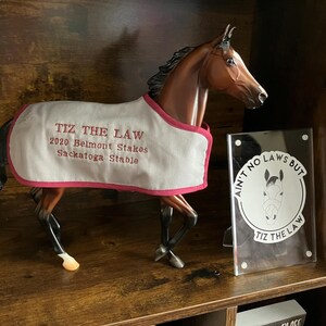 GASCON THE GREAT Embroidered Blanket for Paso Fino Rescue Horse Breyer ...