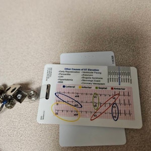 FLACC Pain Scale Horizontal Badge Card Accessory for Nurse - Etsy