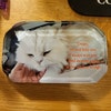 Personalized Glass Photo Paperweight, Pet Memorial Gift - Etsy