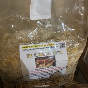 Morel Mushroom Kit - Etsy
