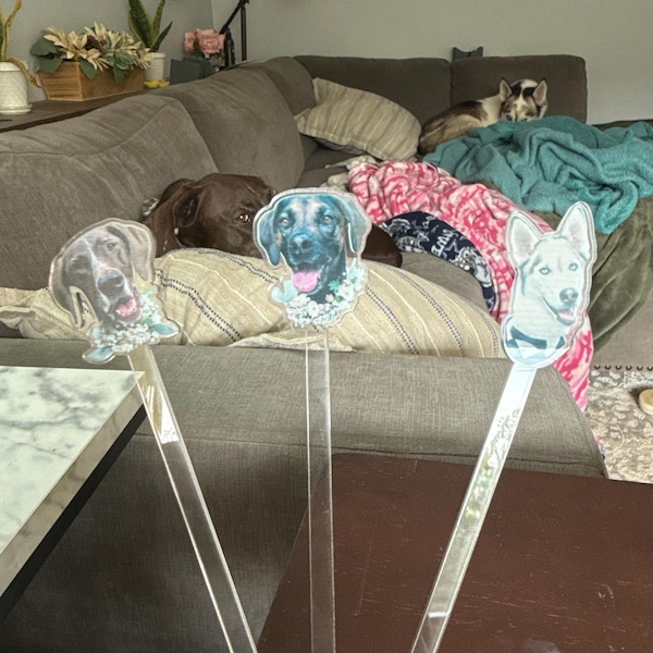 Wedding Pet Stir Sticks | 50 Pcs Double-sided Dog Stir Stick | Acrylic ...