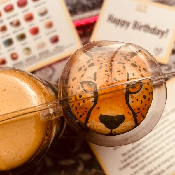 Izzy French Macarons Surprise Me Flavors Assorted Standard Packaging ...