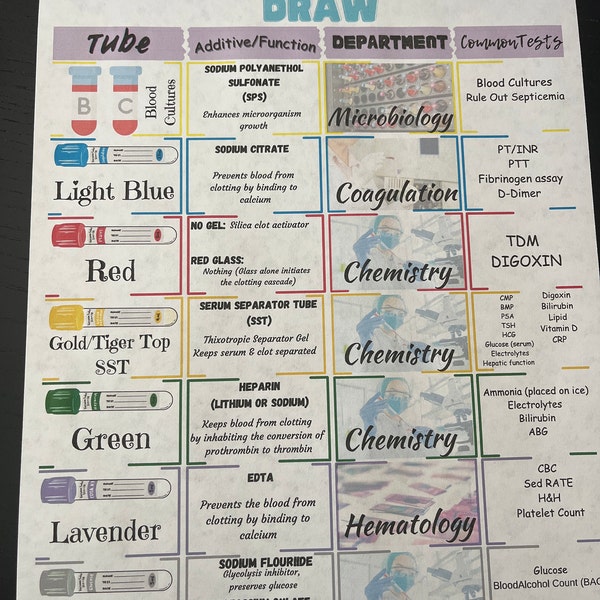 Phlebotomy Order of Draw- Medical- Blood Draw- Nursing- Phlebotomy ...