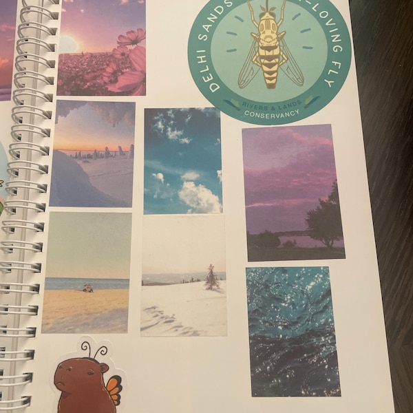 Nature Mini Washi Sticker Booklet | Assorted Pattern Sky Green Flower ...