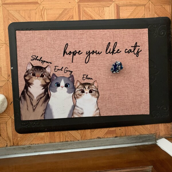 Personalized Cat Doormat, Cat Door Mat, Hope You Like Cats, Cat Rug, Gift for Pets,pet Doormat ...
