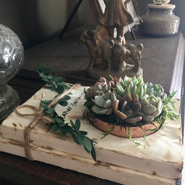 Farmhouse Decor - Decorative Book Set of Coffee Table Books and Book ...