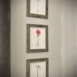 Letter of the Week Pack Letter M Mikey Manta Ray Letter - Etsy