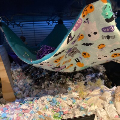 Mismatched Rat Cube Hammock UGLY DUCKLING Random rat Bed, Rat Cage Set ...