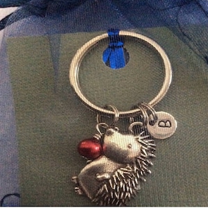 Lightning Bolt Key Ring/ Keychain / Zipper Pull Lightning Gift ...