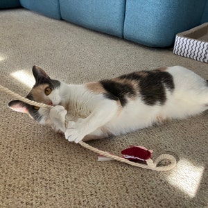 Cat Teaser Wand, Cat Toy Star, Cat Toys Wand, Cute Cat Toys, Cat String ...