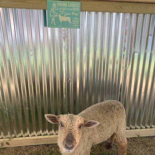 Show Lamb Retro Hand Screened Wood Sign - Etsy