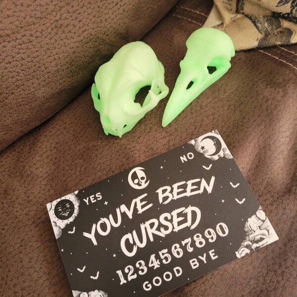 Domestic Cat Skull • Replica Animal Skull • 3D Printed - Etsy