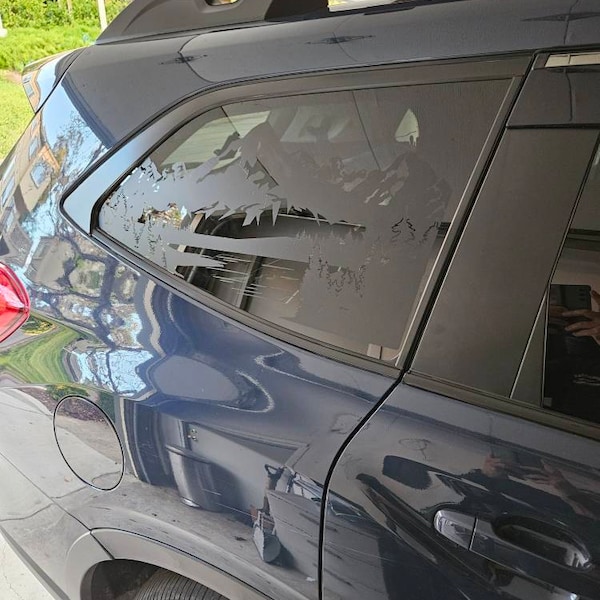 Custom Nature Trees & Ocean Vinyl Decal – Compatible With 2019–2026 ...